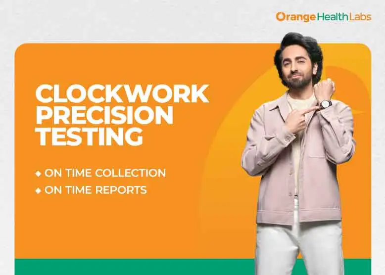 Liver Function Test - Price, Normal Ranges, Report & Preparation