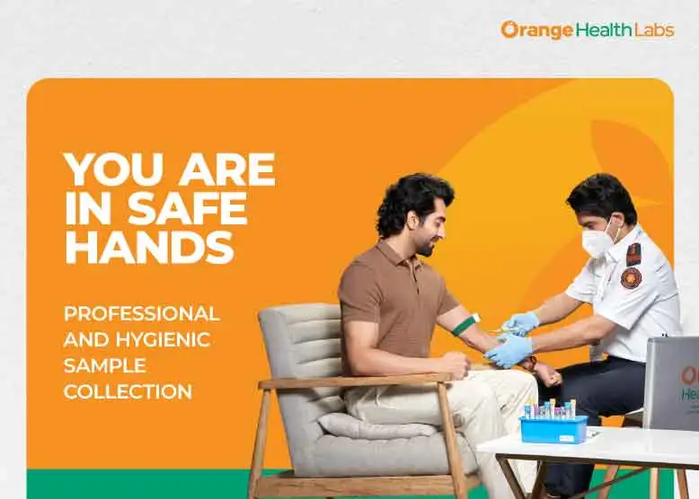 Liver Function Test - Price, Normal Ranges, Report & Preparation