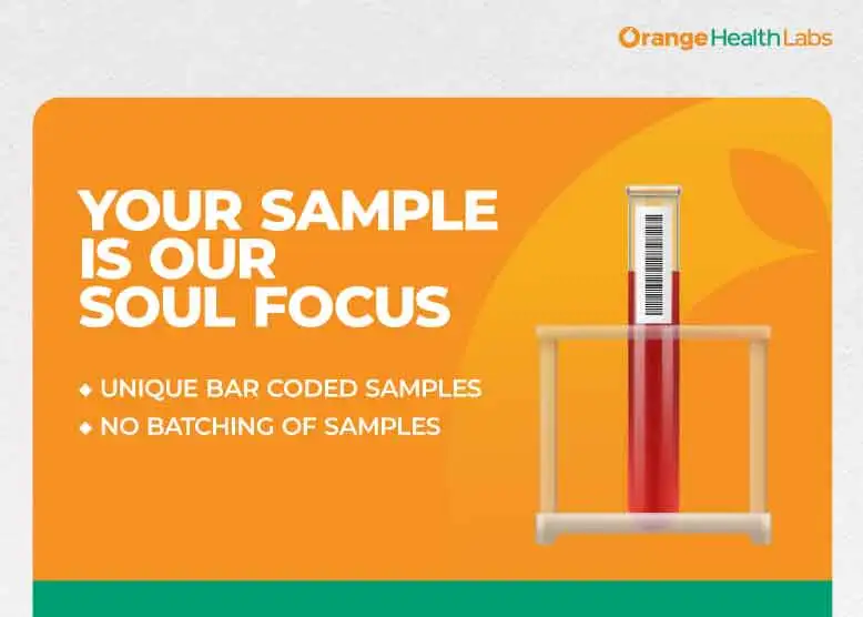 Liver Function Test - Price, Normal Ranges, Report & Preparation